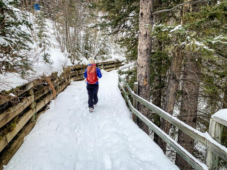 Cascade Amphitheatre Snowshoe Trail in Banff - Travel Banff Canada