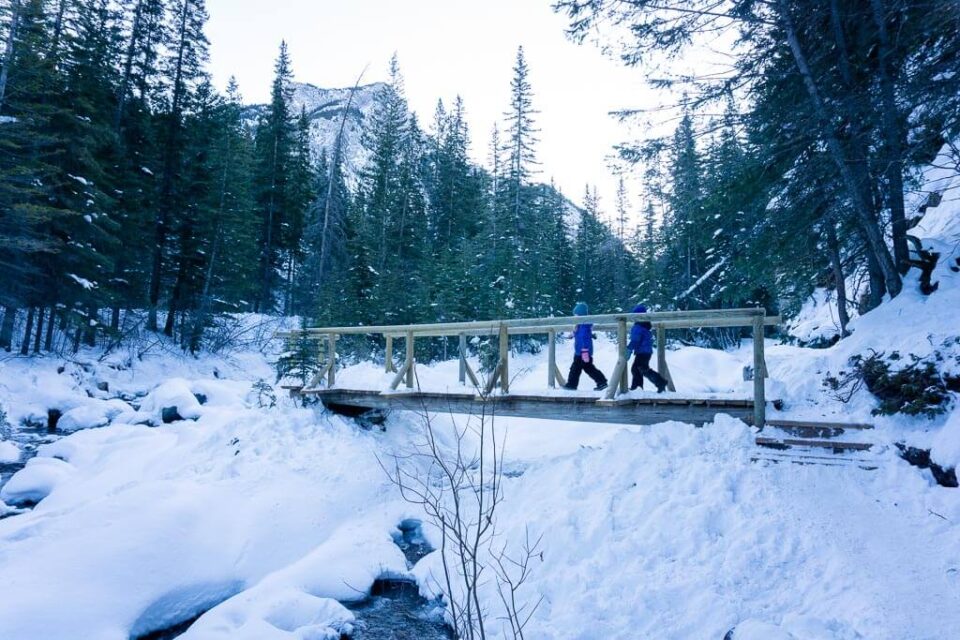 Heart Creek Trail in Kananaskis Country - Travel Banff Canada