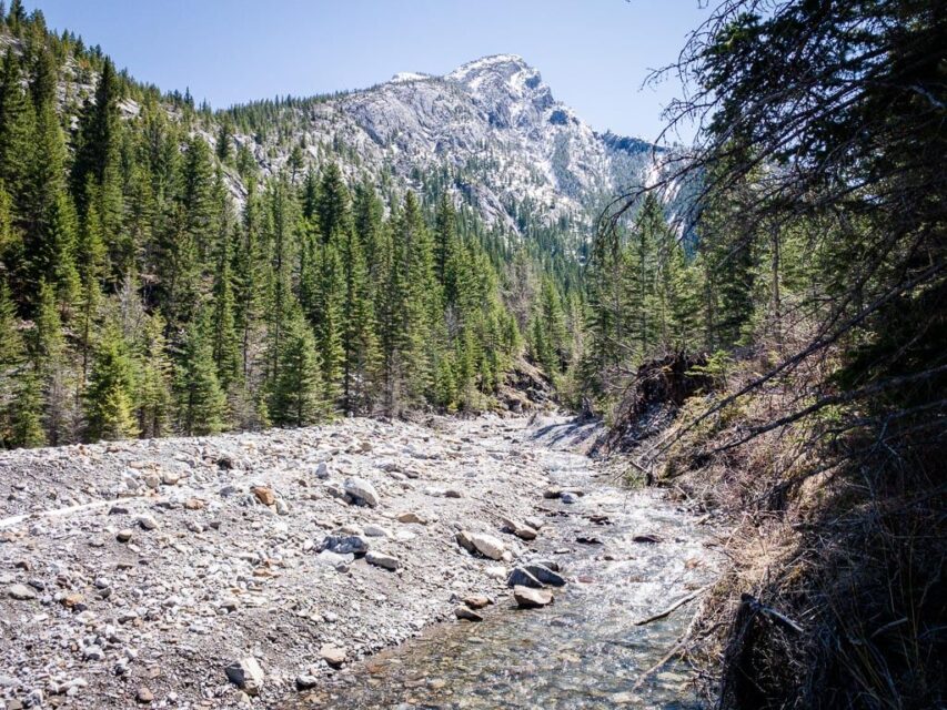Heart Creek Trail in Kananaskis Country - Travel Banff Canada