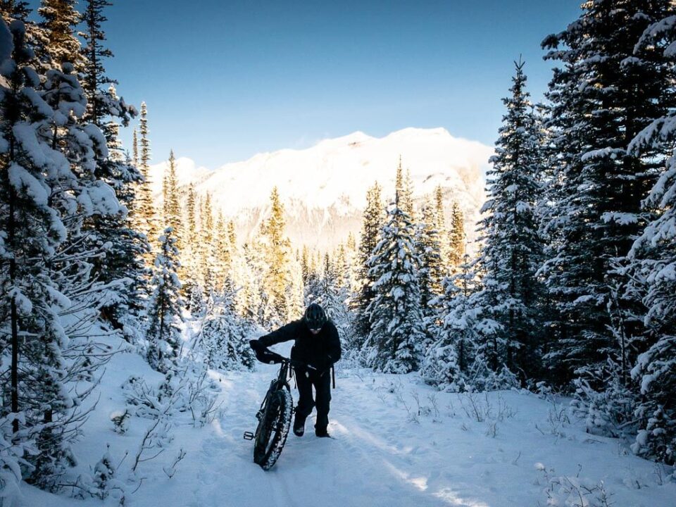 Fat Biking in Banff, Canmore and Kananaskis - Travel Banff Canada