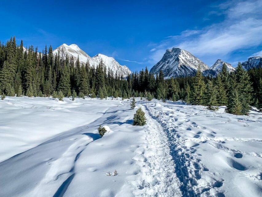 Chester Lake Snowshoe in Kananaskis Country - Travel Banff Canada