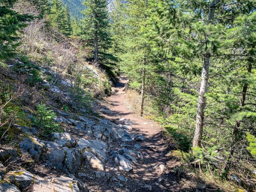 Heart Creek Trail in Kananaskis Country - Travel Banff Canada