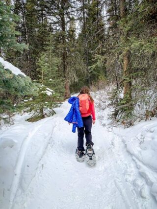 Cascade Amphitheatre Snowshoe Trail in Banff - Travel Banff Canada
