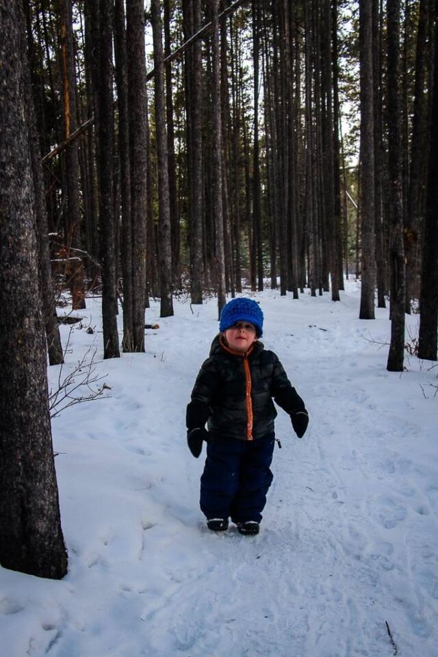 Snowshoeing in Banff – Don’t Miss These 10 Snowshoe Trails - Travel ...