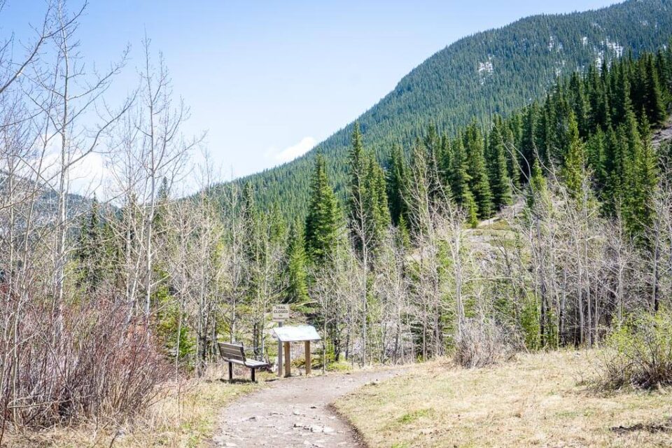 Heart Creek Trail in Kananaskis Country - Travel Banff Canada