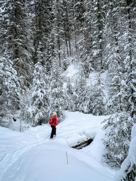 Cascade Amphitheatre Snowshoe Trail in Banff - Travel Banff Canada