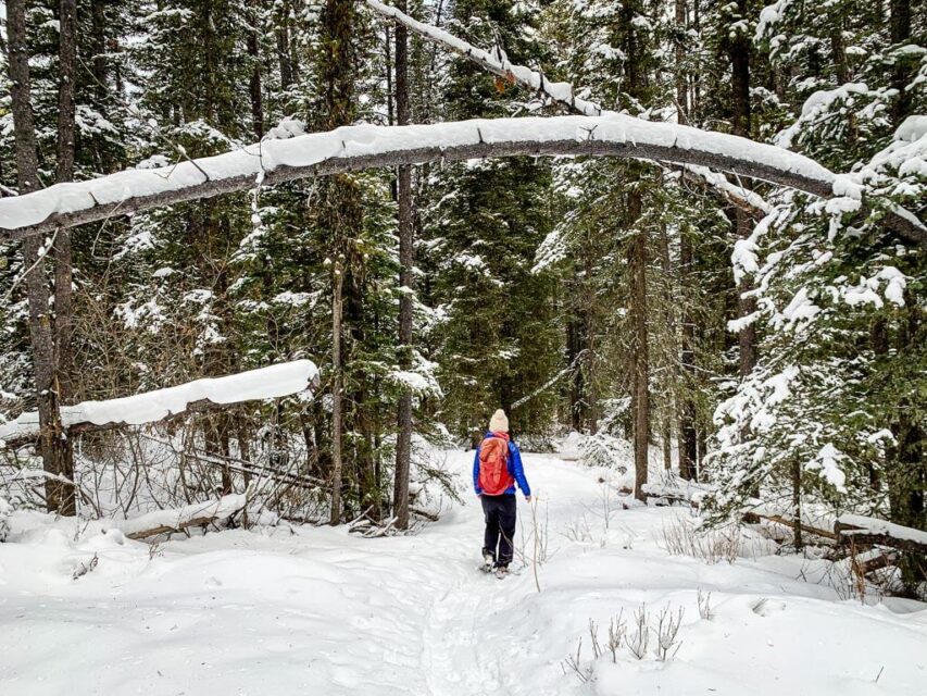 Cascade Amphitheatre Snowshoe Trail in Banff - Travel Banff Canada