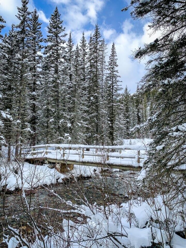 Cascade Amphitheatre Snowshoe Trail in Banff - Travel Banff Canada