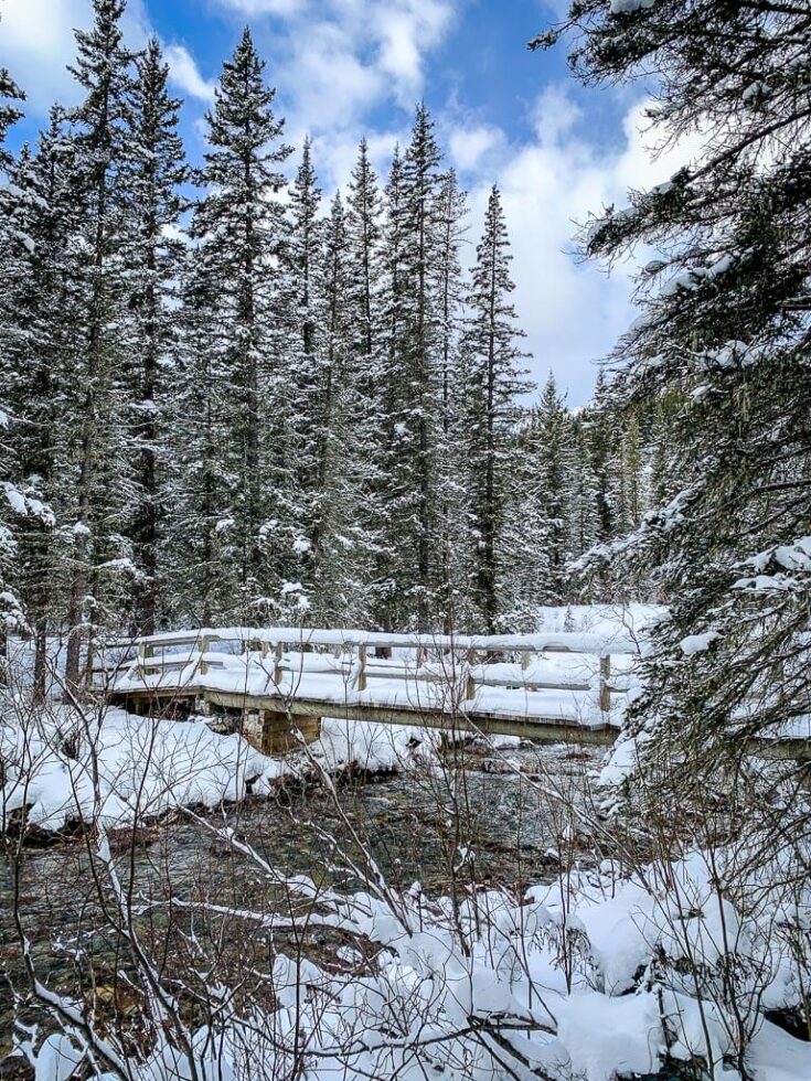 Cascade Amphitheatre Snowshoe Trail in Banff - Travel Banff Canada