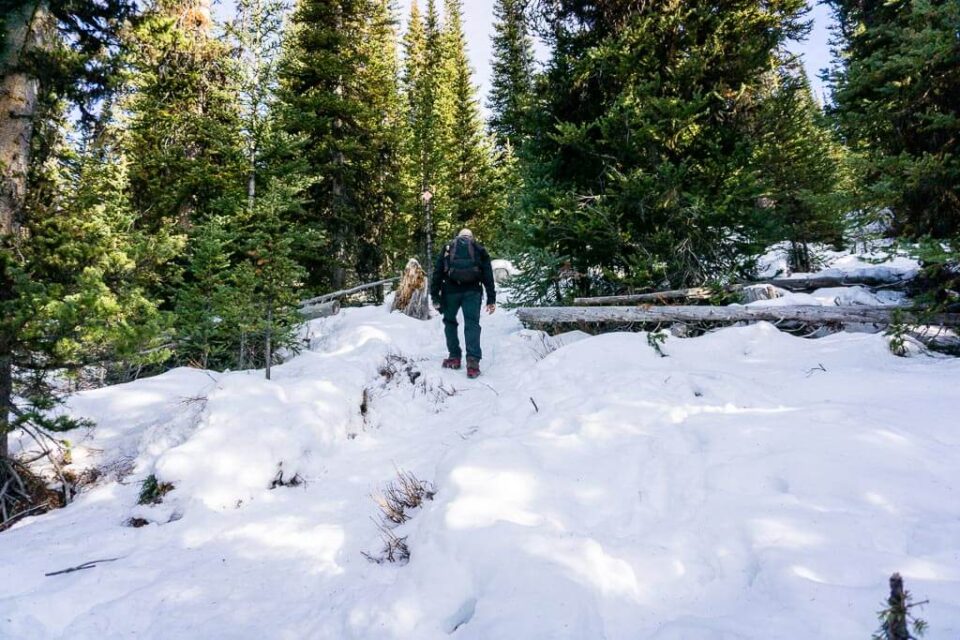 Chester Lake Snowshoe in Kananaskis Country - Travel Banff Canada