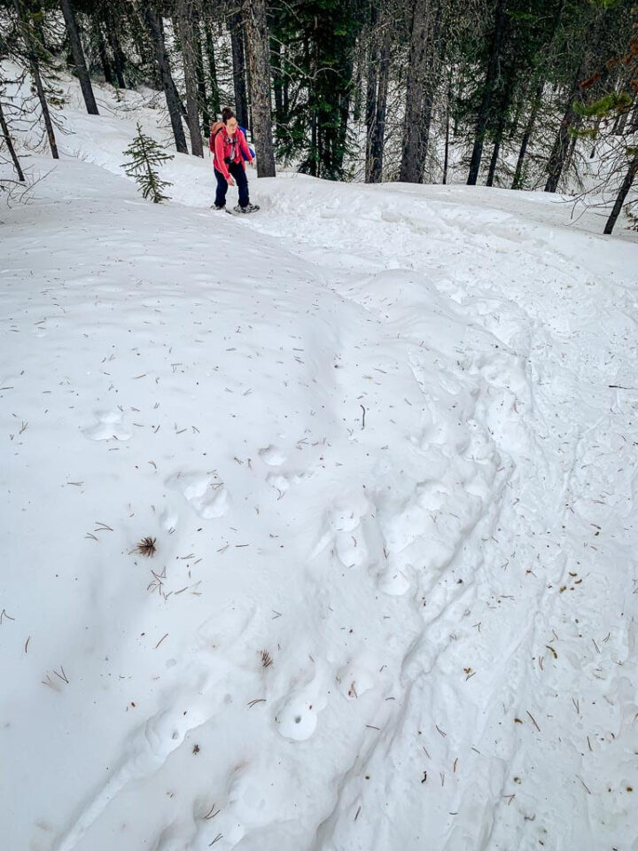 Cascade Amphitheatre Snowshoe Trail in Banff - Travel Banff Canada