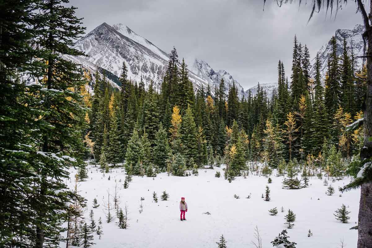 Chester Lake Snowshoe in Kananaskis Country - Travel Banff Canada