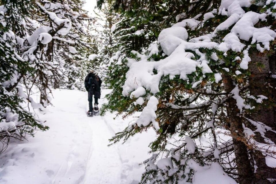 Cascade Amphitheatre Snowshoe Trail in Banff - Travel Banff Canada