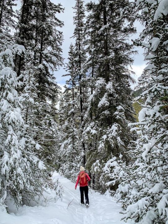 Cascade Amphitheatre Snowshoe Trail in Banff - Travel Banff Canada
