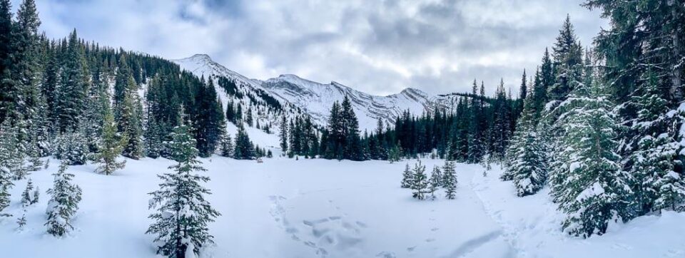 Cascade Amphitheatre Snowshoe Trail in Banff - Travel Banff Canada