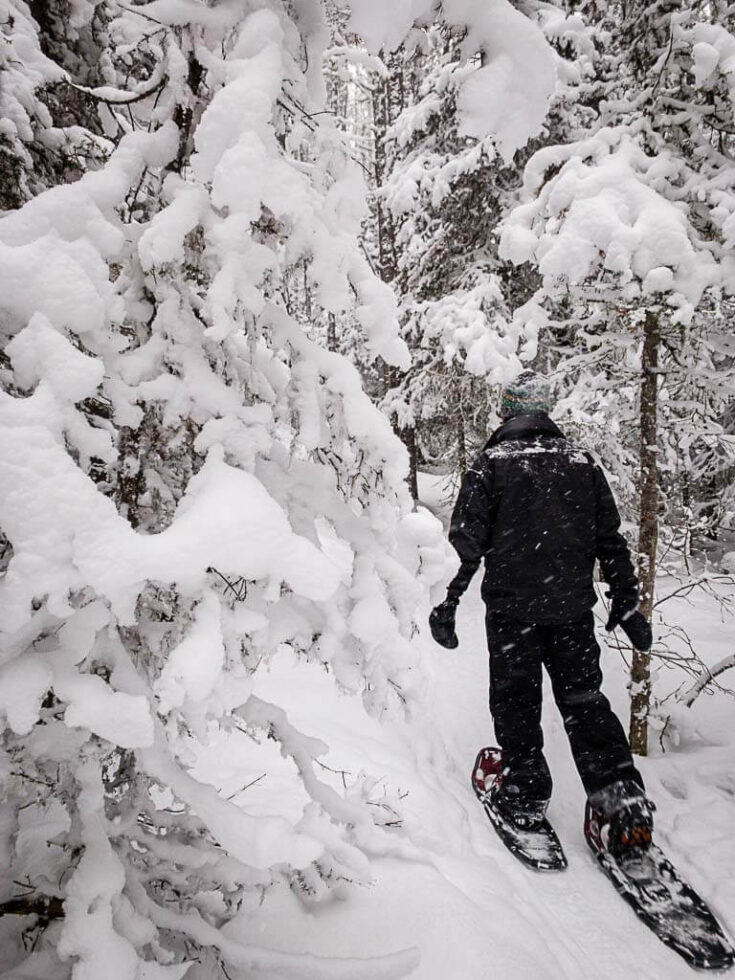 Upper Stoney Lookout Snowshoe in Banff - Travel Banff Canada