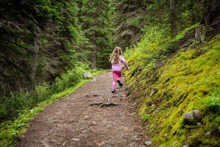 The 6 Best Family Friendly Hotels in Banff - Travel Banff Canada