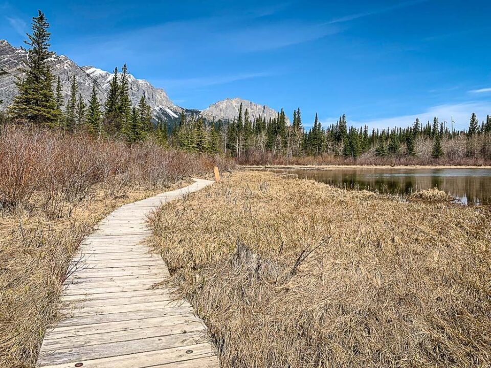 Your Guide to Camping in Kananaskis - Travel Banff Canada