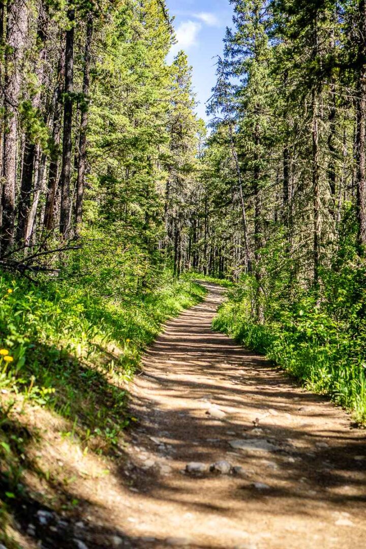 Yates Mountain via Prairie View Trail in Kananaskis - Travel Banff Canada