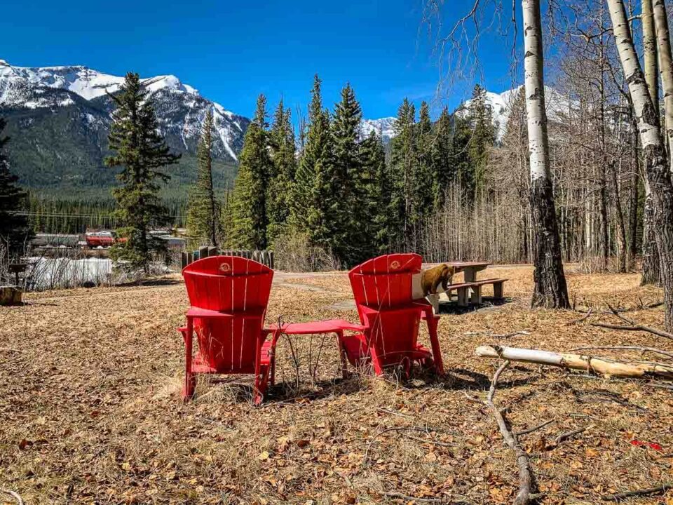 Cycling the Bow Valley Parkway in Banff National Park - Travel Banff Canada