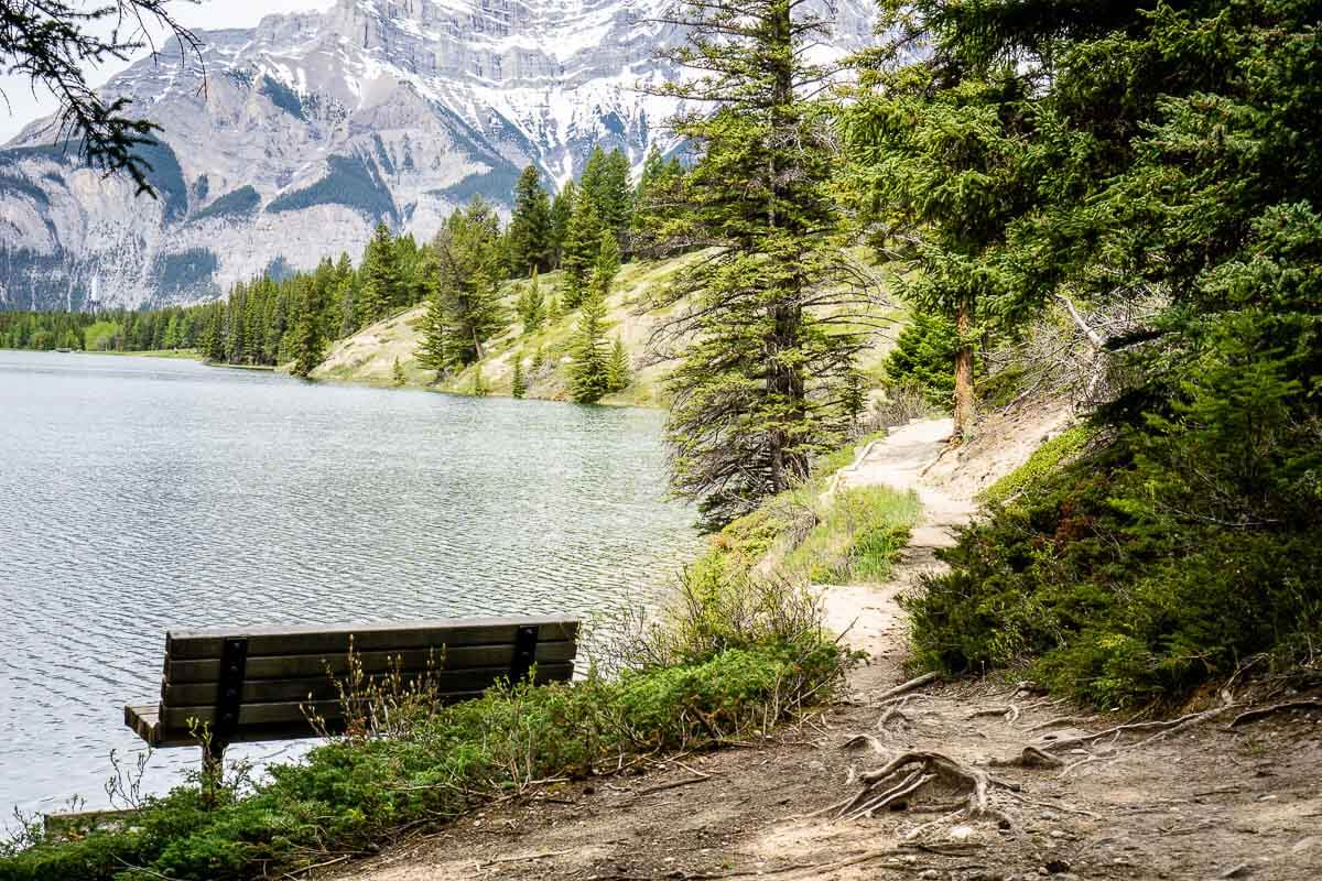 Johnson Lake Hike - Banff - Travel Banff Canada