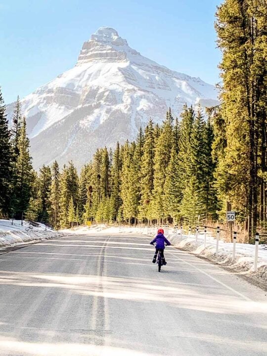 Bow Valley Parkway Scenic Drive: A Local's Guide - Travel Banff Canada