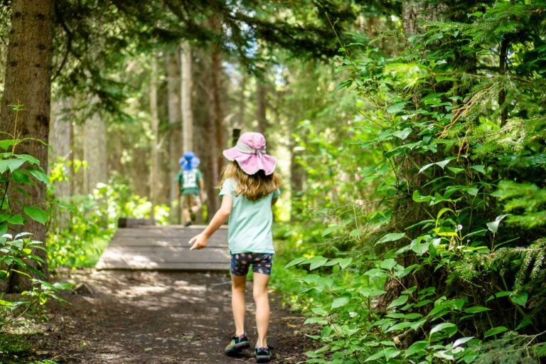 10 Amazing Hikes in the Banff Townsite – No Car Required! - Travel Banff Canada