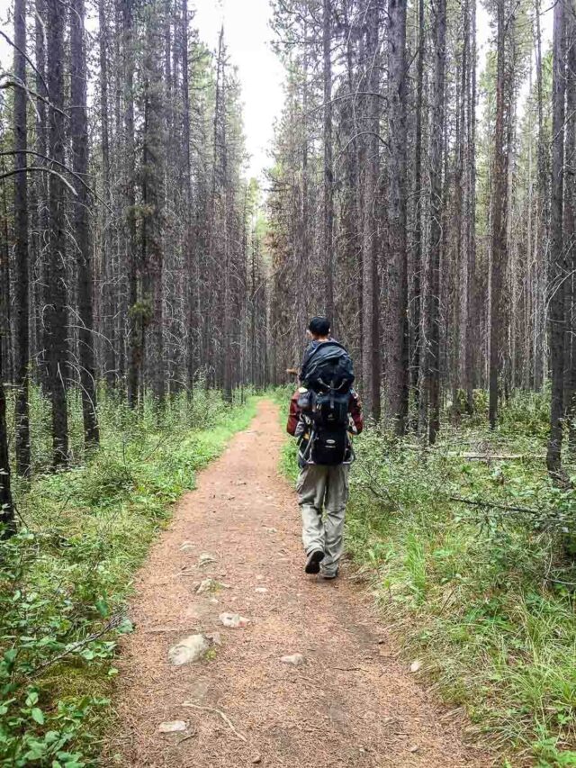 Hike to the Ink Pots in Banff National Park - Travel Banff Canada