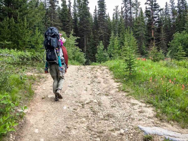 Hike to the Ink Pots in Banff National Park - Travel Banff Canada