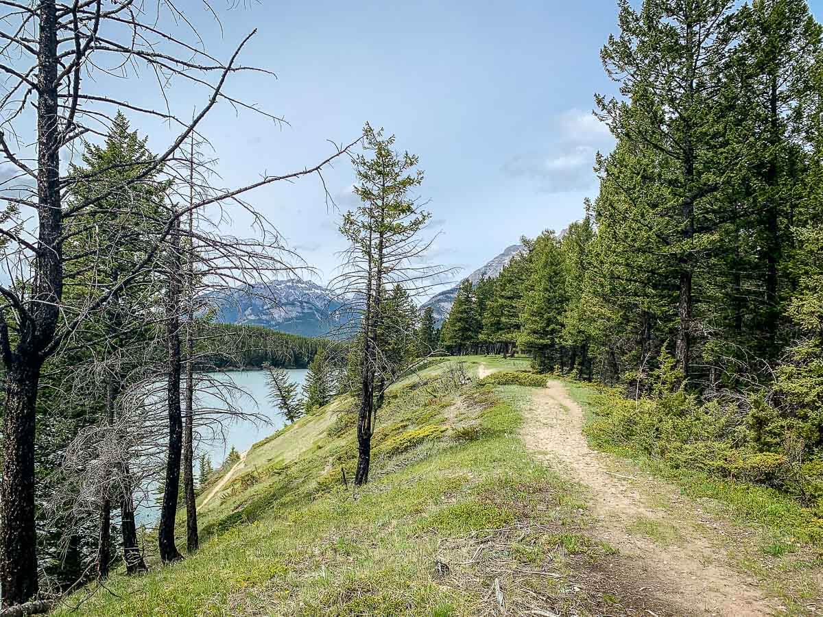 8 Things to do at Johnson Lake in Banff - Travel Banff Canada