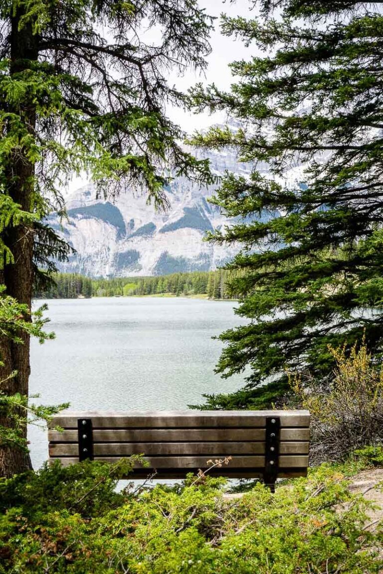 8 Things to do at Johnson Lake in Banff - Travel Banff Canada