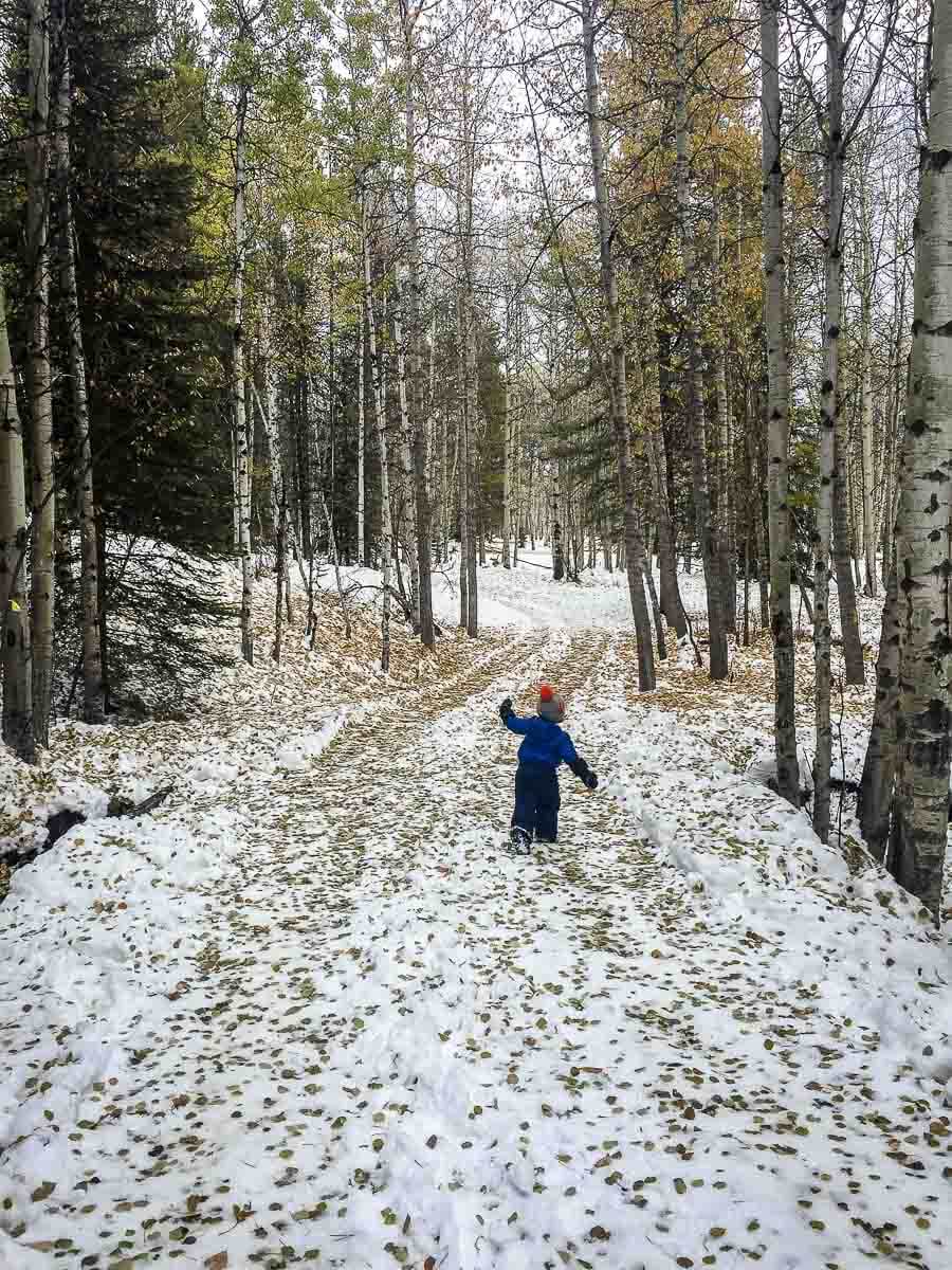 Troll Falls: Easy Kananaskis Waterfall Hike (Full Guide) - Travel Banff ...
