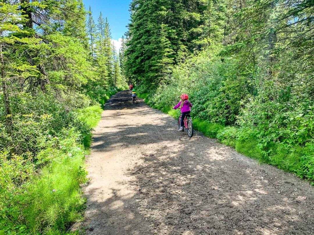 22 Best Banff Day Hikes with Kids - Travel Banff Canada
