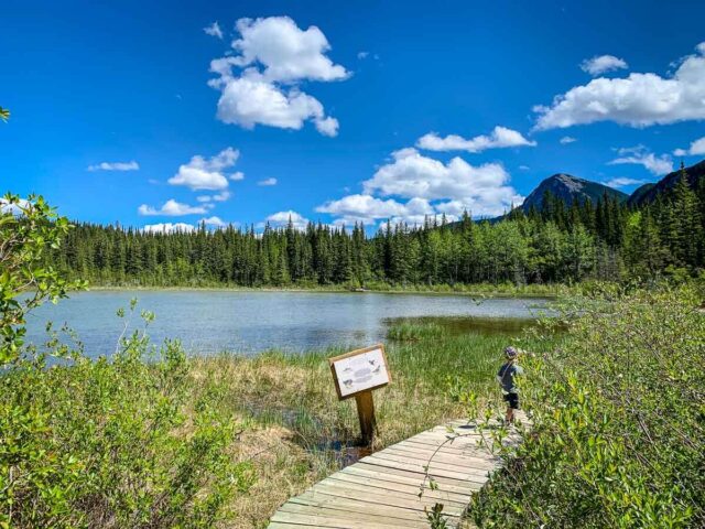 13 Easy Kananaskis Hikes You’ll Love - Travel Banff Canada