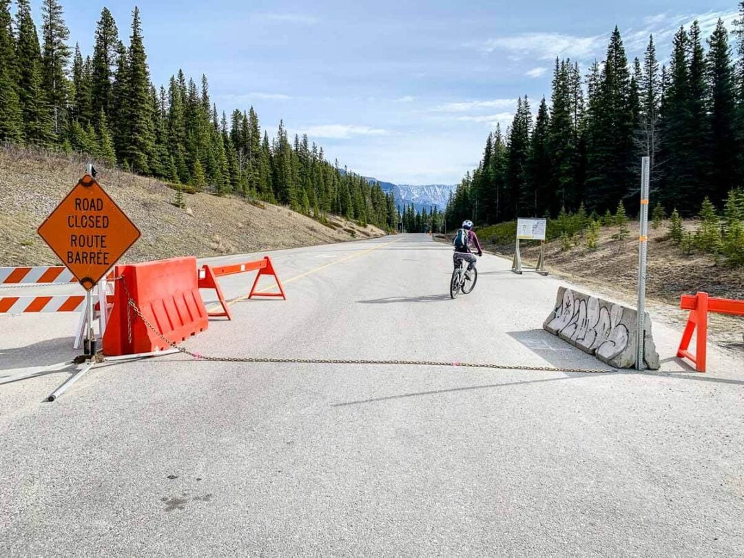 Cycling the Lake Minnewanka Loop in Banff National Park - Travel Banff ...