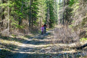 15 Best Banff Picnic Areas - Travel Banff Canada