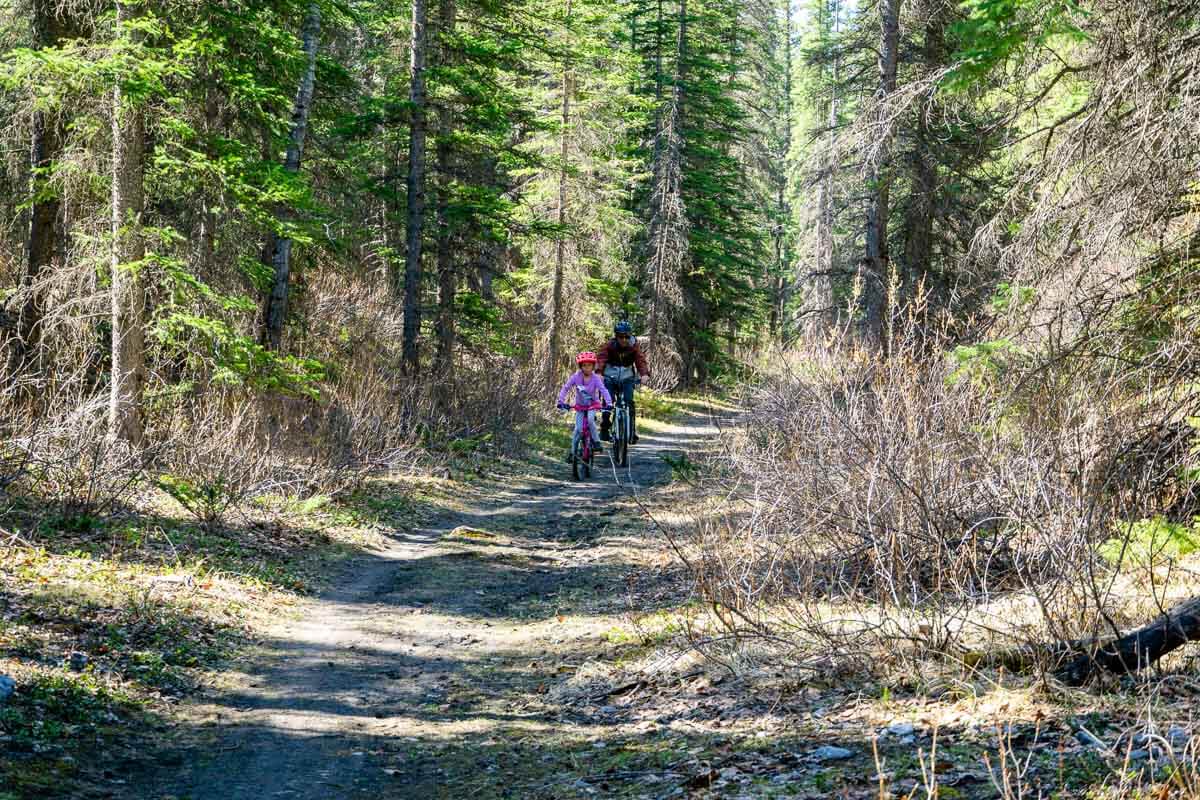 15 Best Banff Picnic Areas - Travel Banff Canada