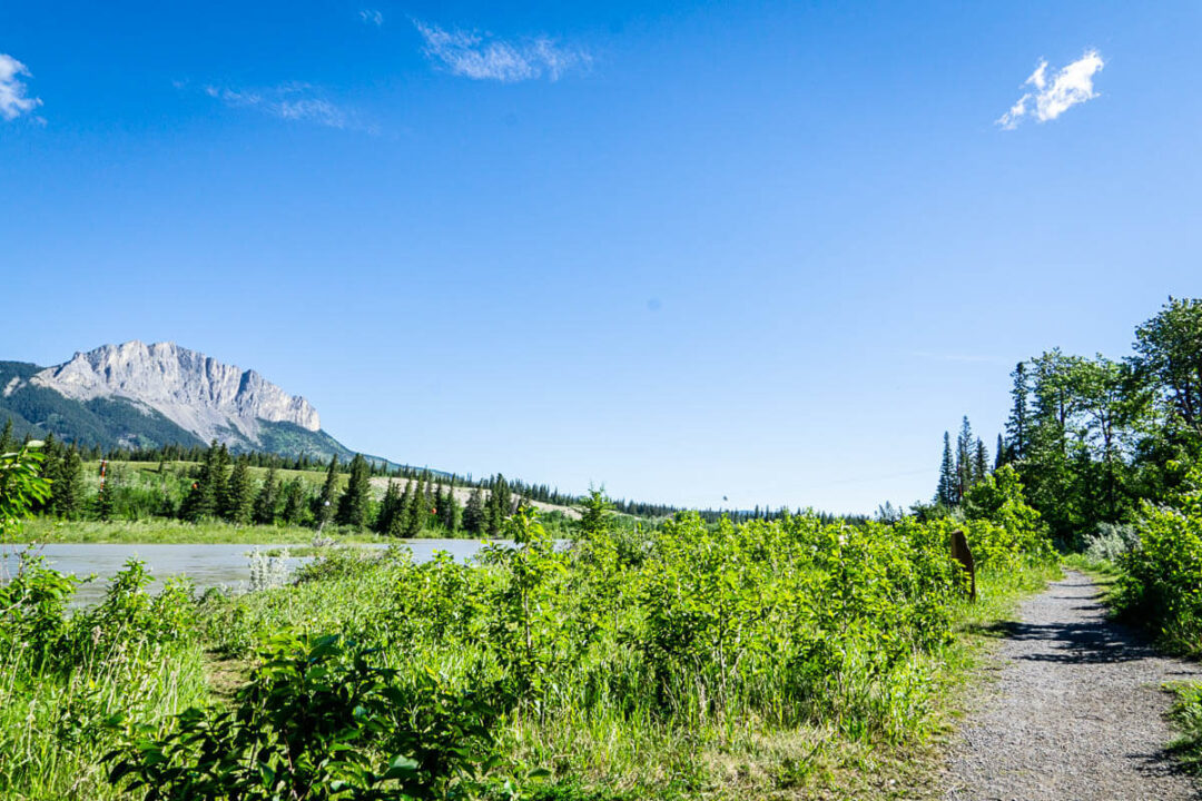 Bow River Interpretive Trail in Kananaskis - Travel Banff Canada