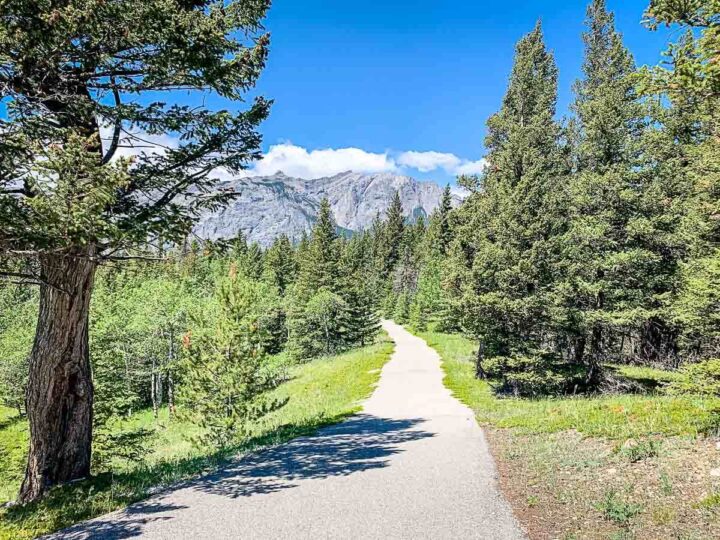 Montane Interpretive Trail in Kananaskis - Travel Banff Canada