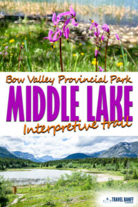 Middle Lake Interpretive Trail in Kananaskis - Travel Banff Canada