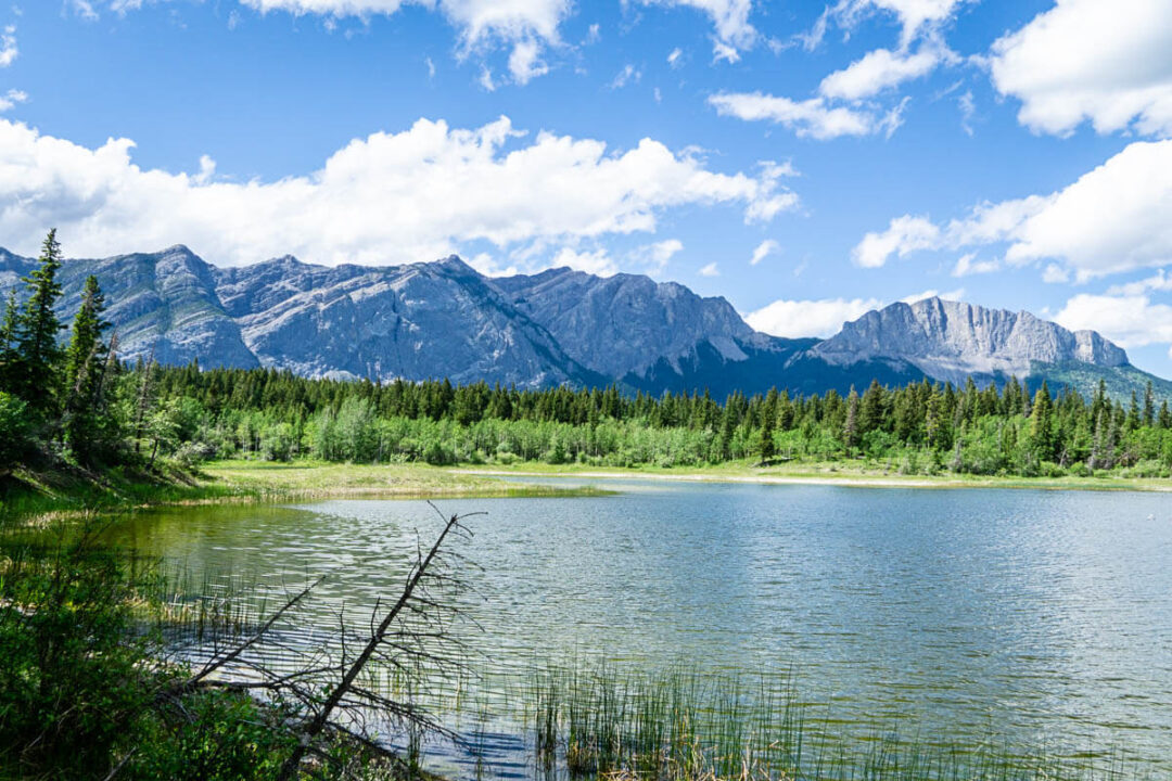 Middle Lake Interpretive Trail in Kananaskis - Travel Banff Canada