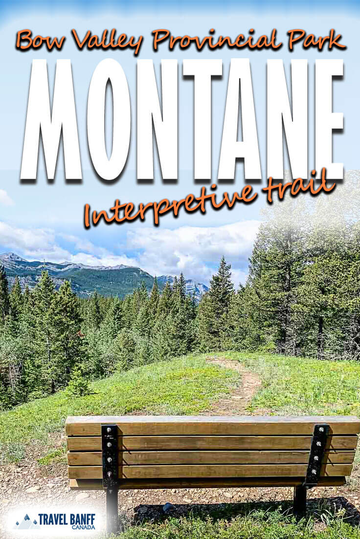 Montane Interpretive Trail in Kananaskis - Travel Banff Canada