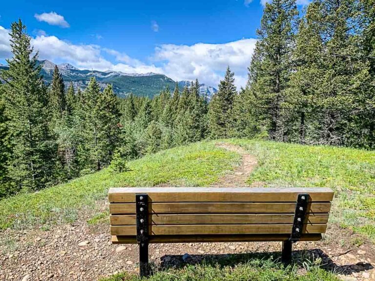 Montane Interpretive Trail in Kananaskis - Travel Banff Canada