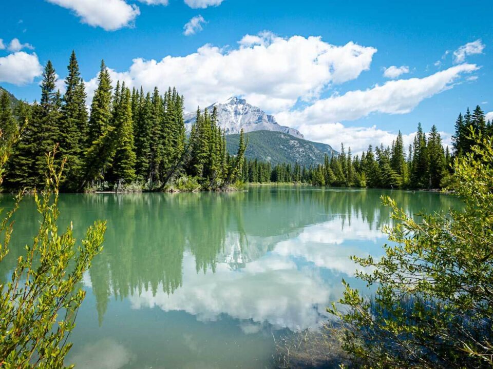 10 Amazing Hikes in the Banff Townsite – No Car Required! - Travel ...