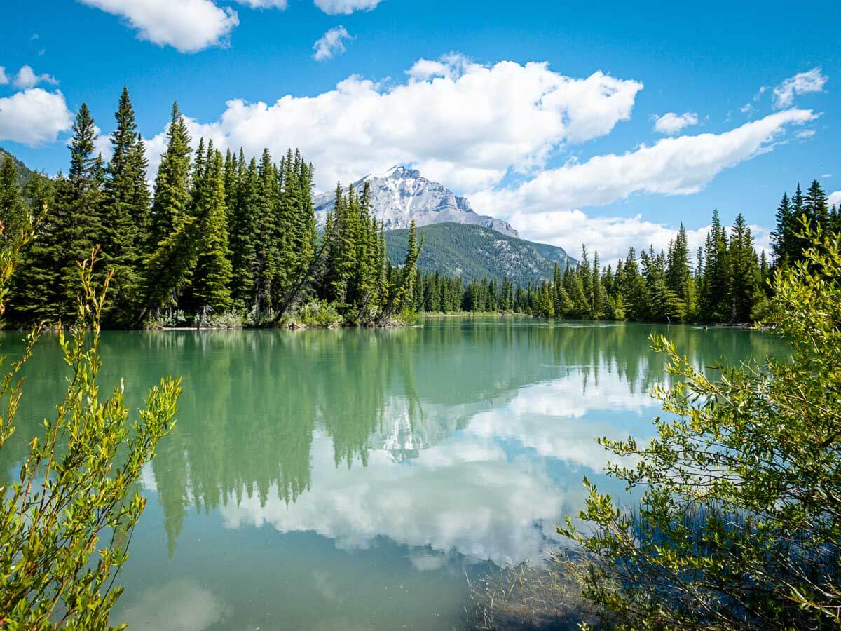 10 Amazing Hikes in the Banff Townsite – No Car Required! - Travel ...