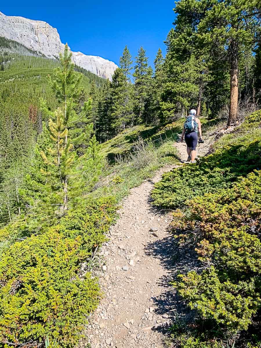 Aylmer Lookout Trail in Banff National Park - Travel Banff Canada