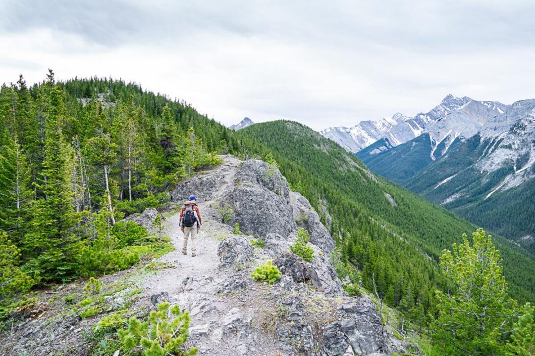 Wasootch Ridge Hike in Kananaskis - Travel Banff Canada