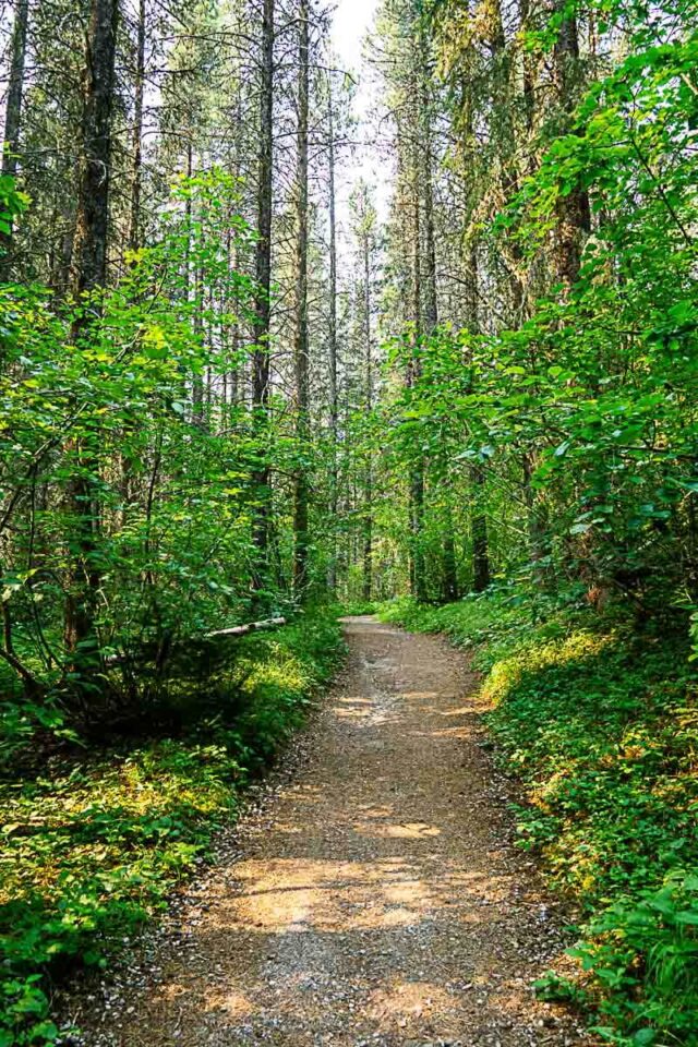 Hiking the C Level Cirque Trail in Banff National Park - Travel Banff ...
