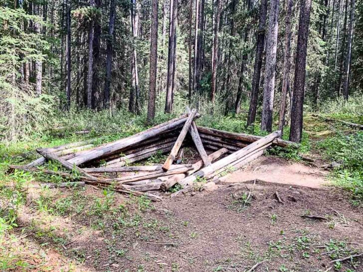 Castle Mountain Lookout Hike in Banff National Park - Travel Banff Canada