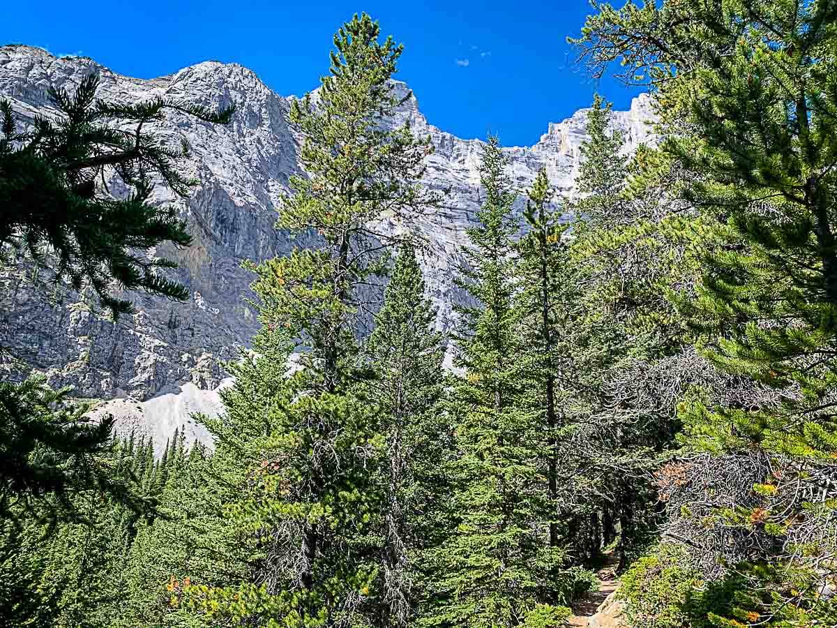 Hiking the C Level Cirque Trail in Banff National Park - Travel Banff ...